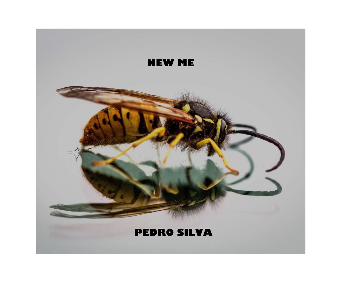 The New Me – It's All In Me – Poetry Blog